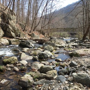 A Day Fishing Near the Blue Ridge Parkway – Brook Trout Fishing Guide
